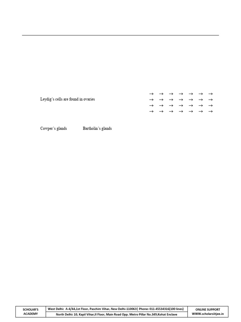 Zoology - Crash Human Reproduction | PDF | Menstrual Cycle | Ovary