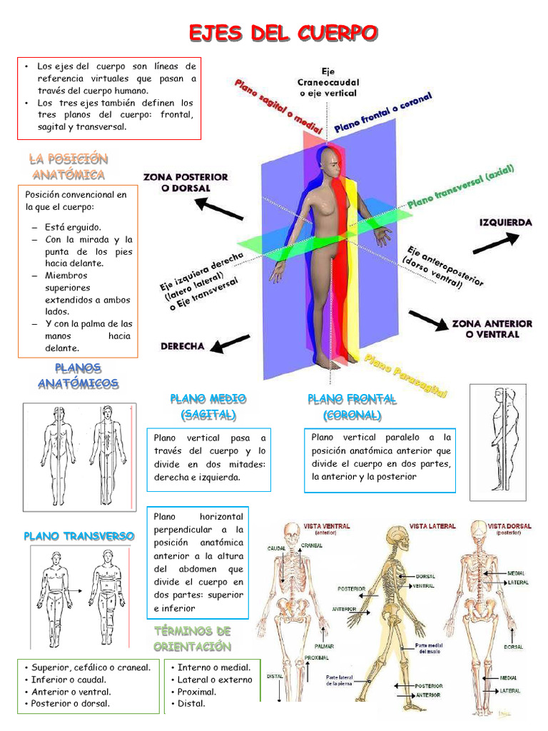 Resumen Planos y Ejes | PDF