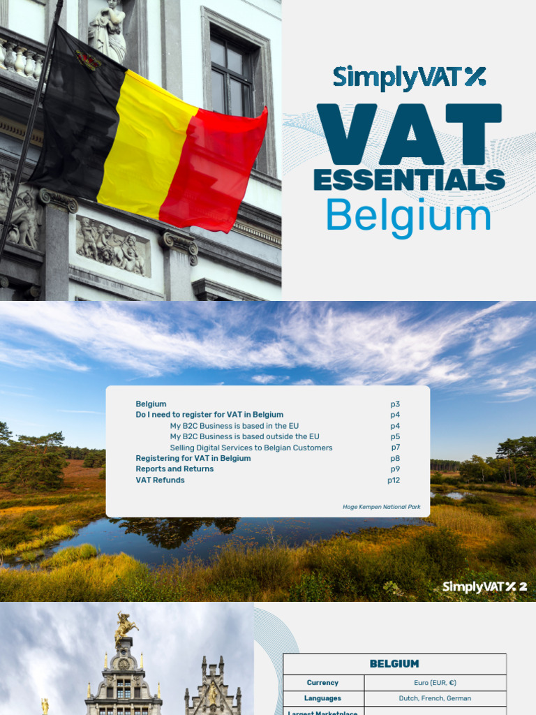VAT Essentials Belgium 2025 | PDF | Value Added Tax | Invoice