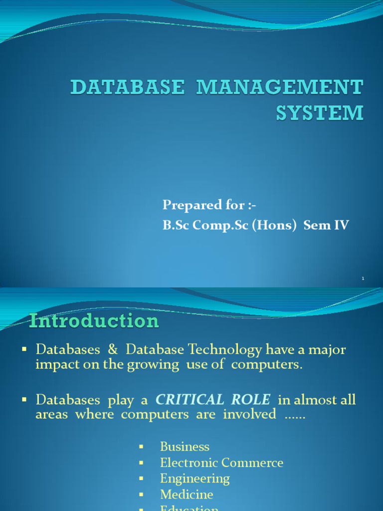 My Chap 1 Final DATABASE MANAGEMENT SYSTEM | PDF | Databases | Data