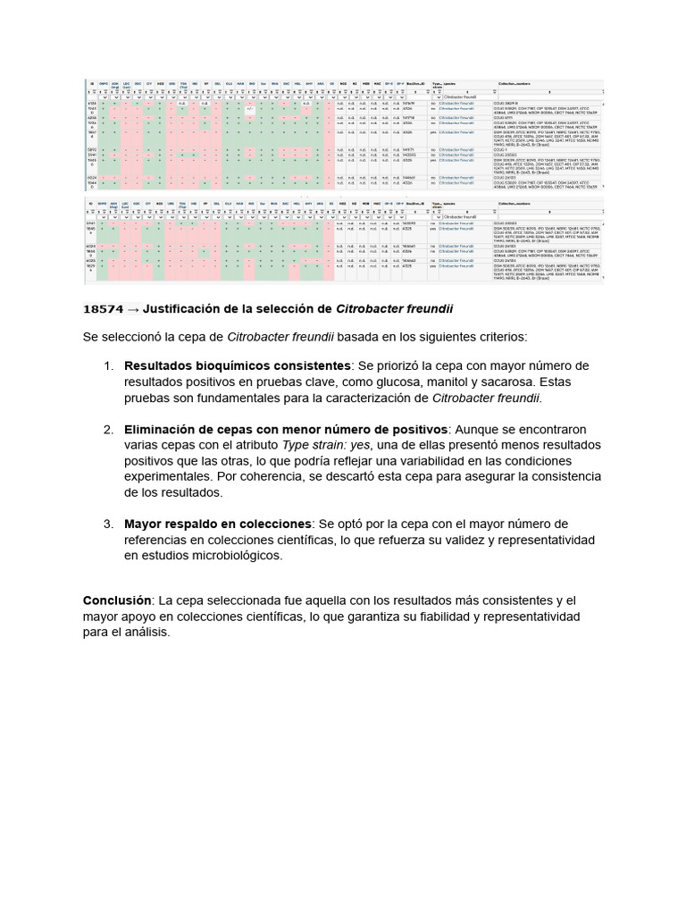 Selección de Citrobacter freundii | PDF