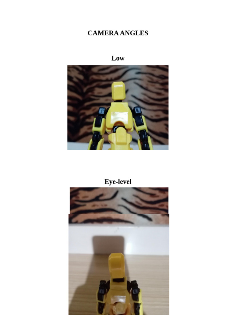 Camera Angles | PDF