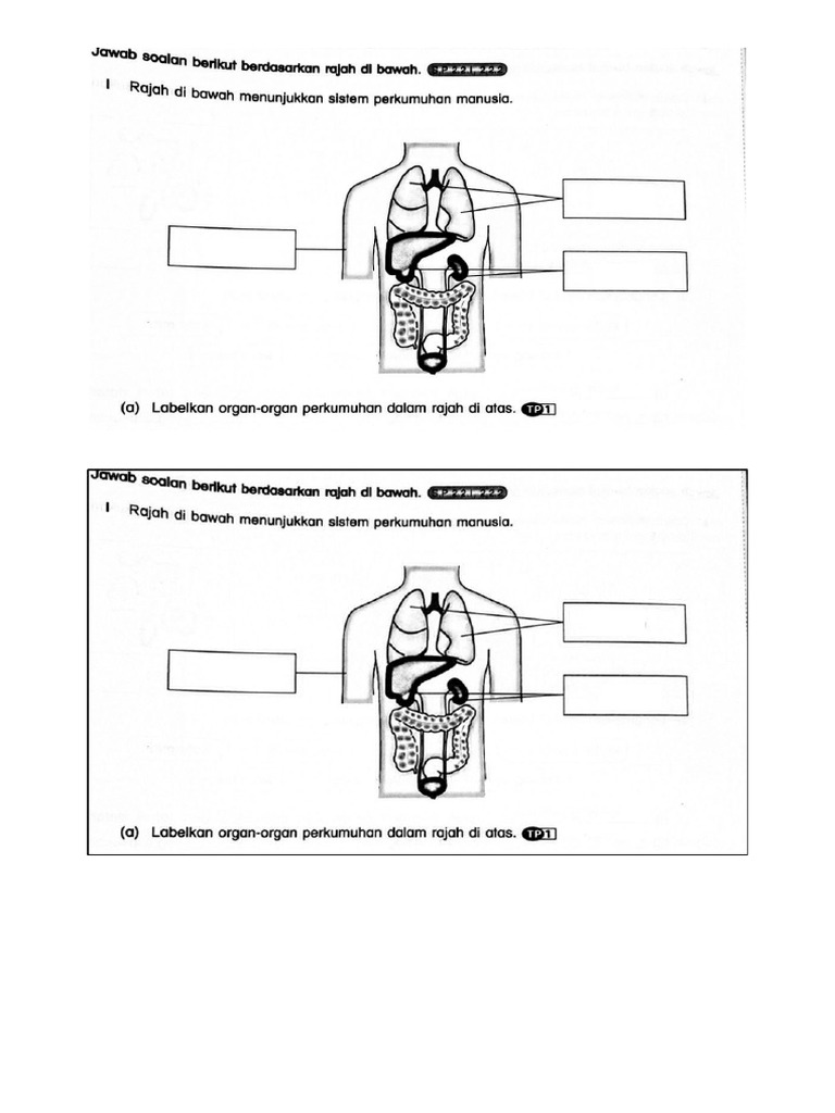 Perkumuhan Dan Penyahtinjaan | PDF