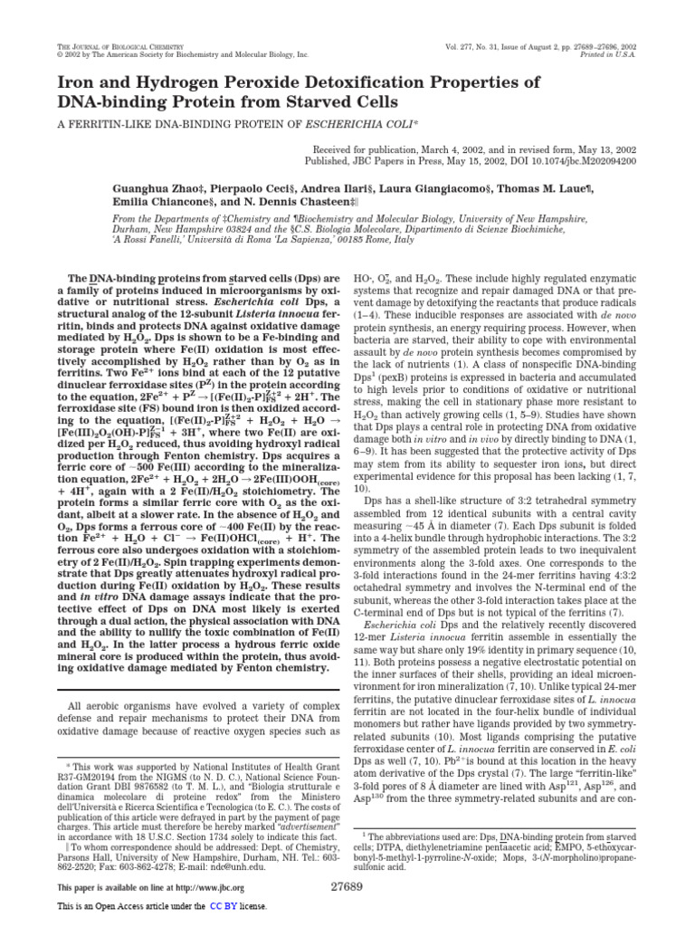 Iron and Hydrogen Peroxide Dps | PDF | Iron | Agarose Gel Electrophoresis