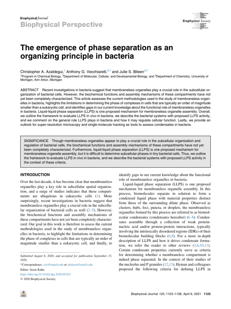 Phase Separation Bacteria | PDF | Organelle | Cell (Biology)