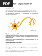 Specialised Cells Worksheet With Answers | PDF | Cell (Biology ...