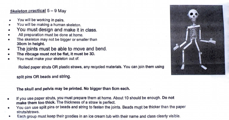 Skeleton Practical | PDF