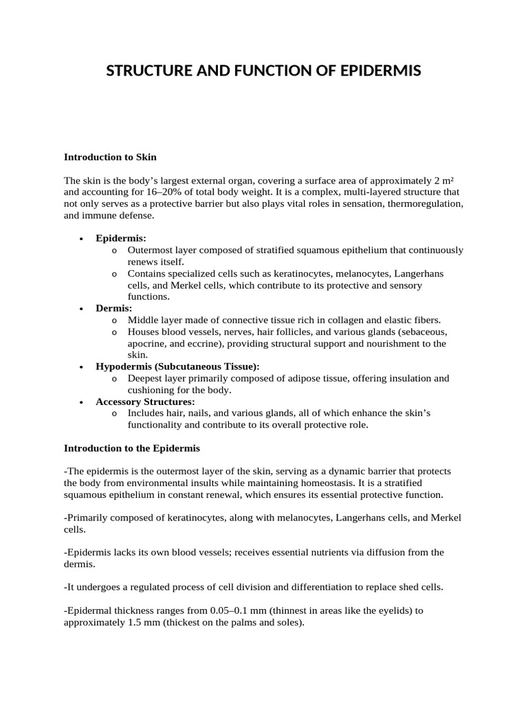 Structure and Function of Epidermis | PDF | Epidermis | Skin