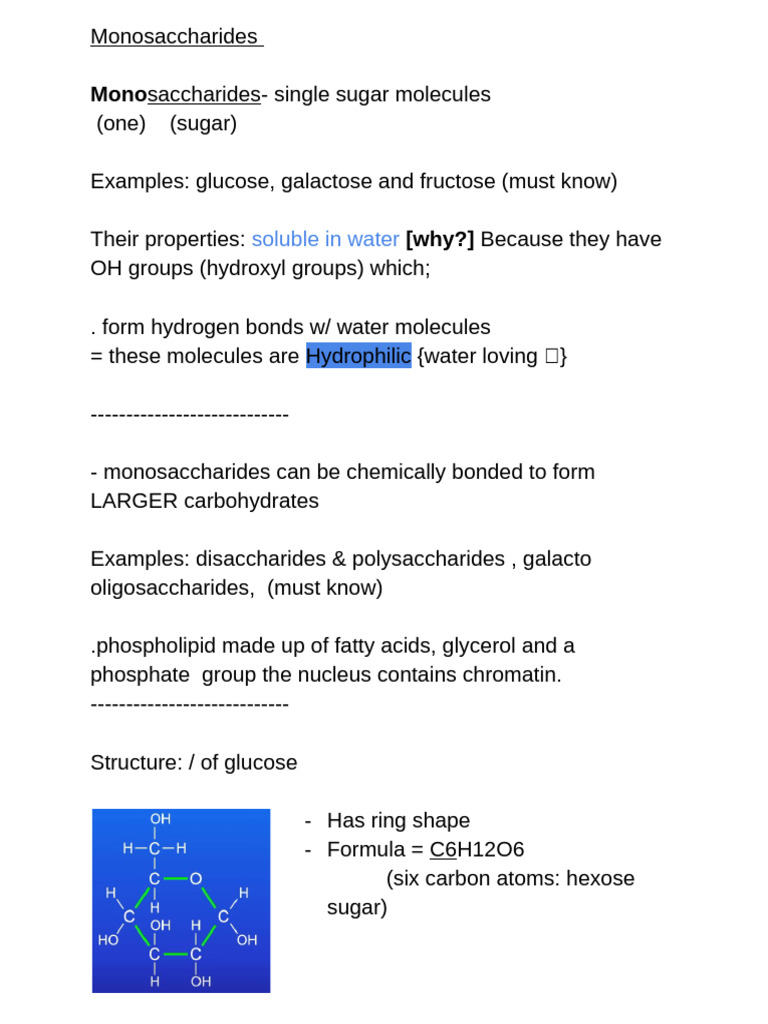 A-LEVEL BIO (Biomolecules) Lesson 3 | PDF