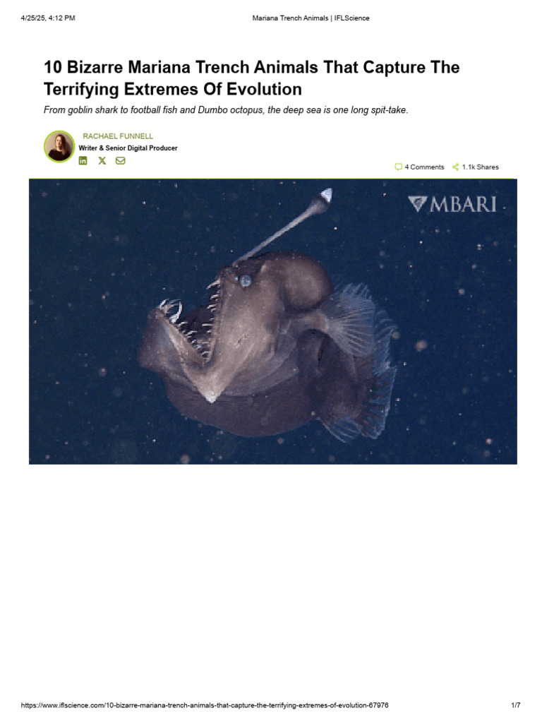 Mariana Trench Animals - IFLScience | PDF | Deep Sea | Sharks