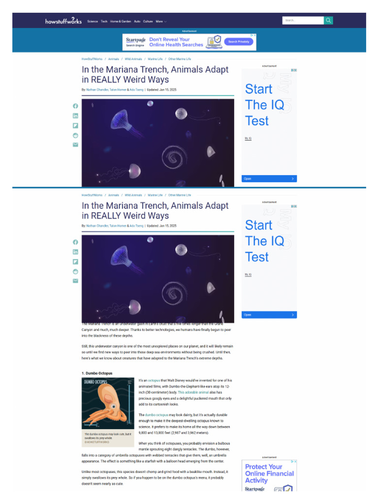 Marine Life 10 Weird Creatures From Mariana Trench | PDF