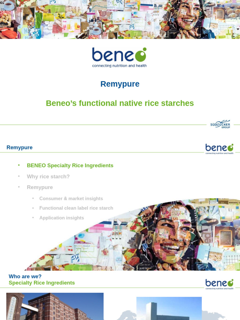 Introduction To Remypure Vs Remygel 652 | PDF | Starch | Rice