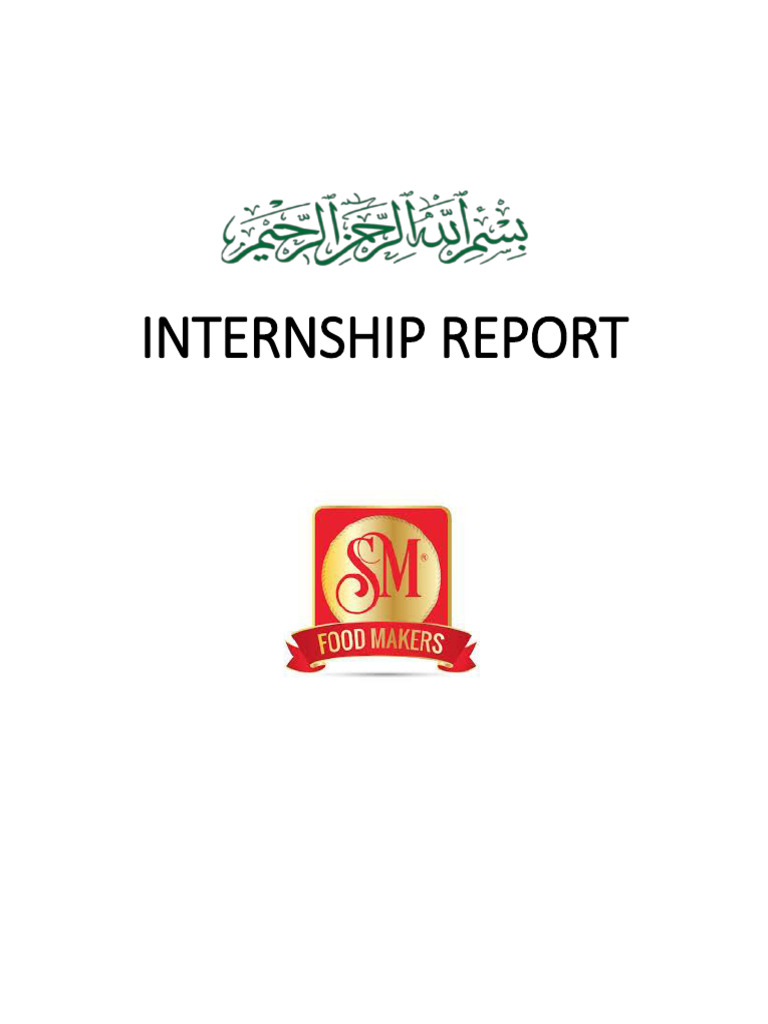TALHA AKHTAR Final Internship Report | PDF | Water Purification | Water