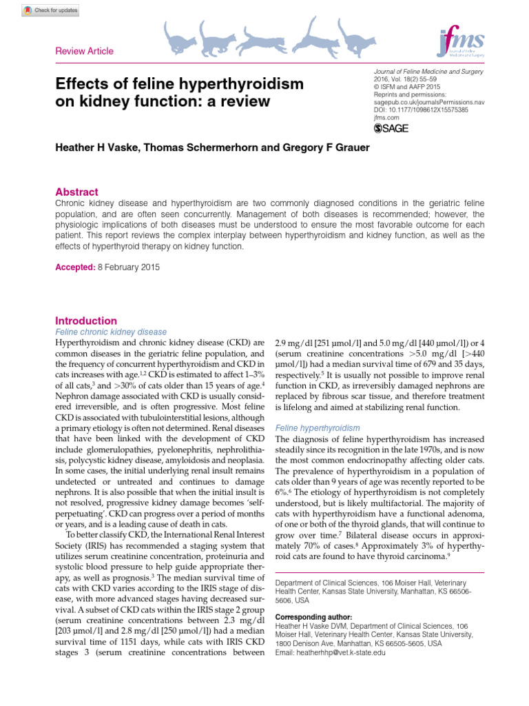 Effects of Feline Hyperthyroidism On Kidney Function | PDF ...