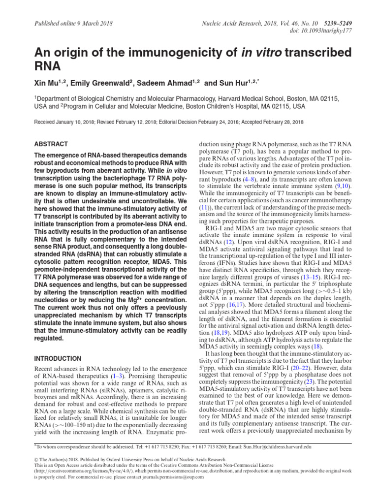 T7 RNA Polymerase Immunogenicity Insights | PDF | Rna | Sense ...