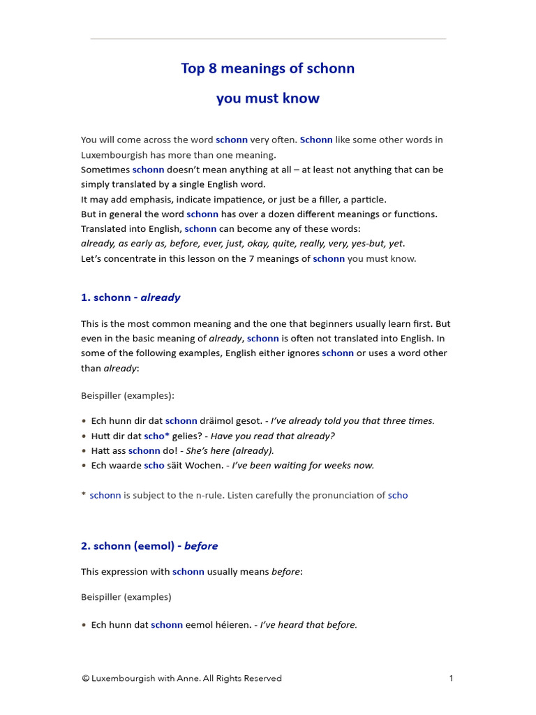 Top 8 Meanings of Schonn | PDF