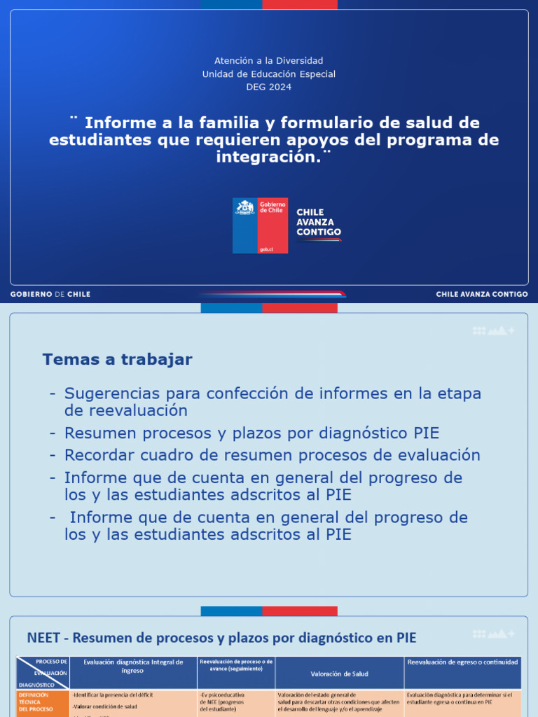 Informes PIE | PDF