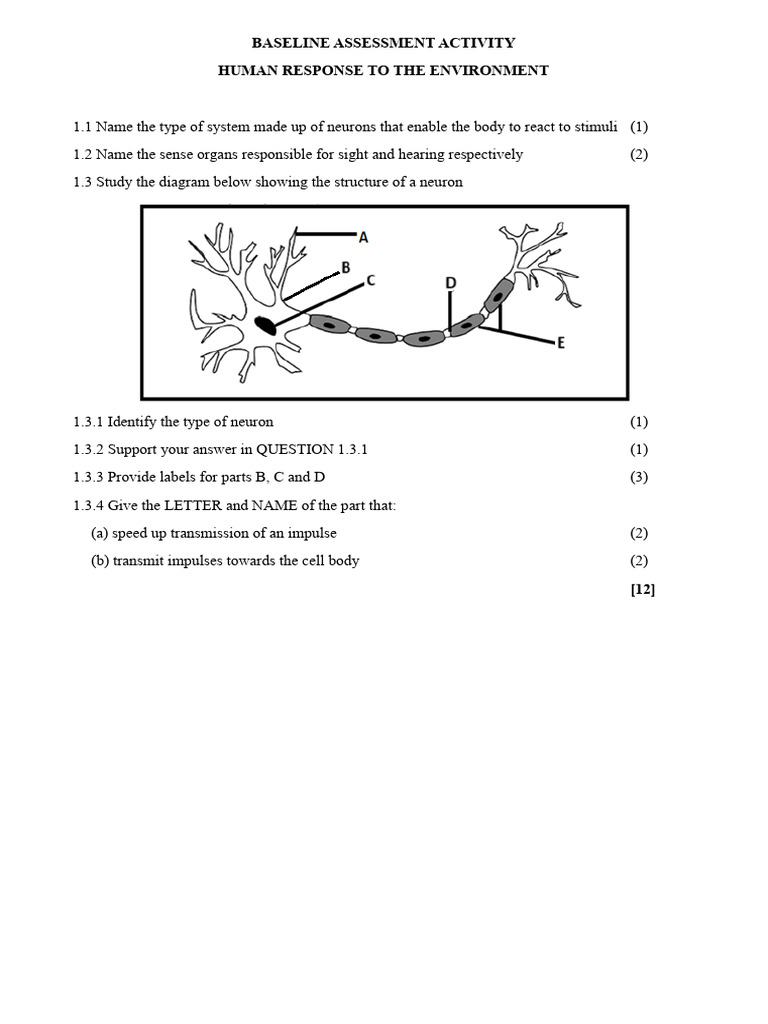 Human Response Baseline | PDF