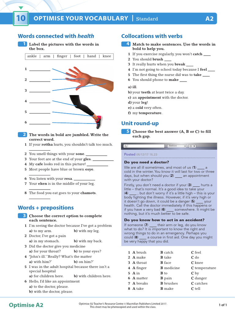 OPT_A2_U10_Vocab_standard | PDF | Linguistics