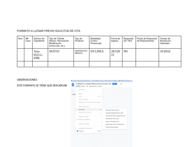Formato A Llenar Previo Solicitud de Cita | PDF