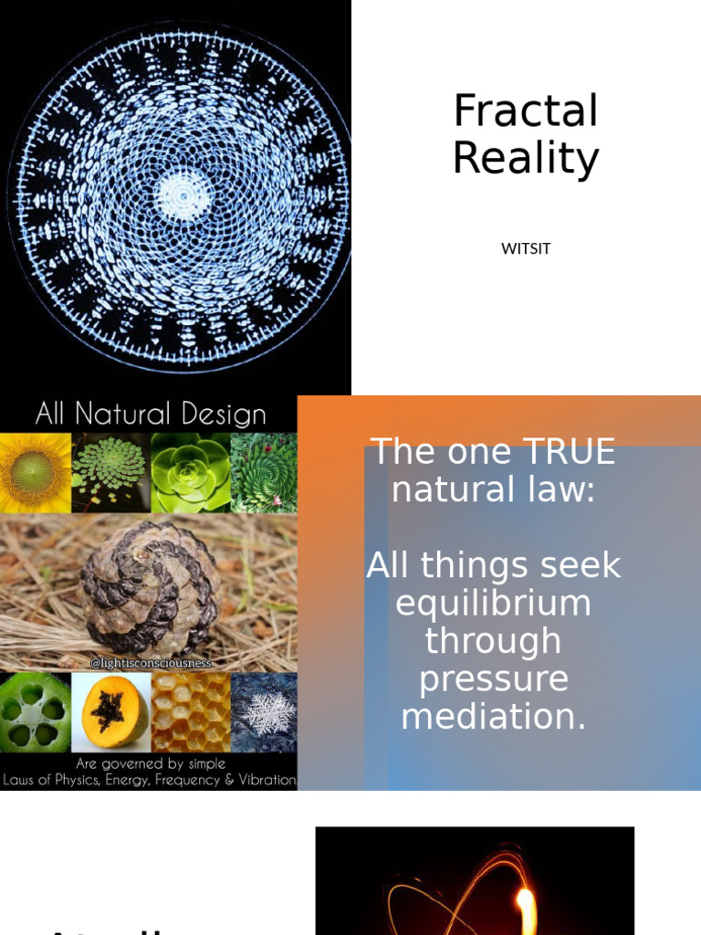 Fractal Reality - Witsit - Flatoberfest | PDF