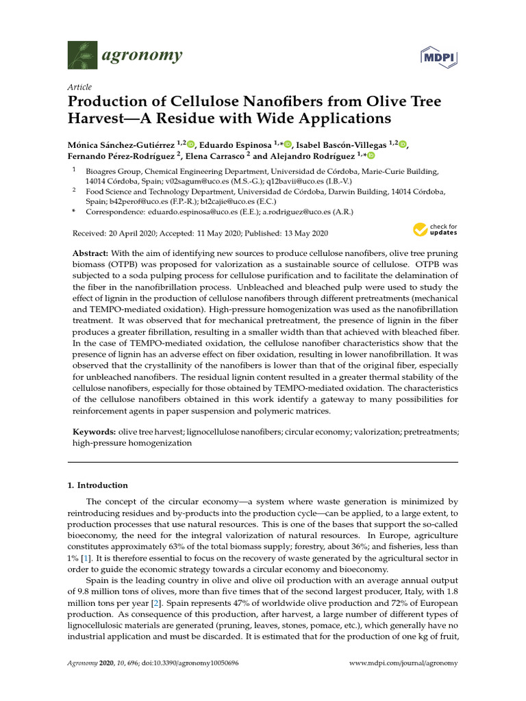Production of Cellulose Nanofibers From Olive Tree | PDF | Pulp (Paper ...
