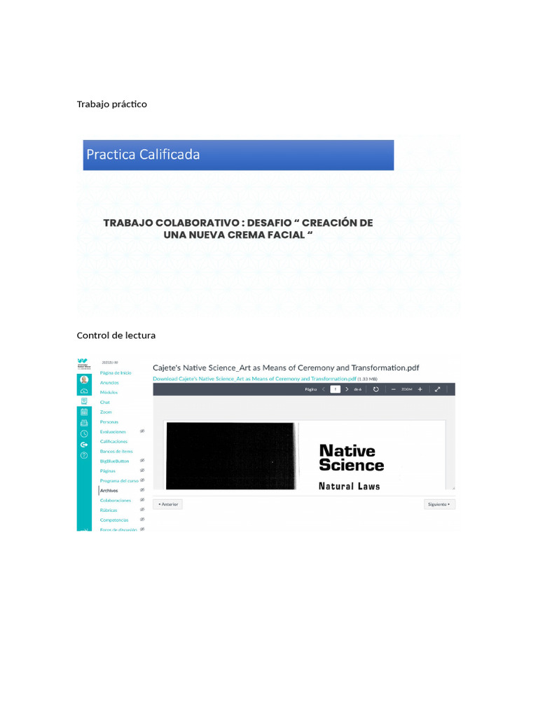 Trabajo práctico - Control de lectura | PDF