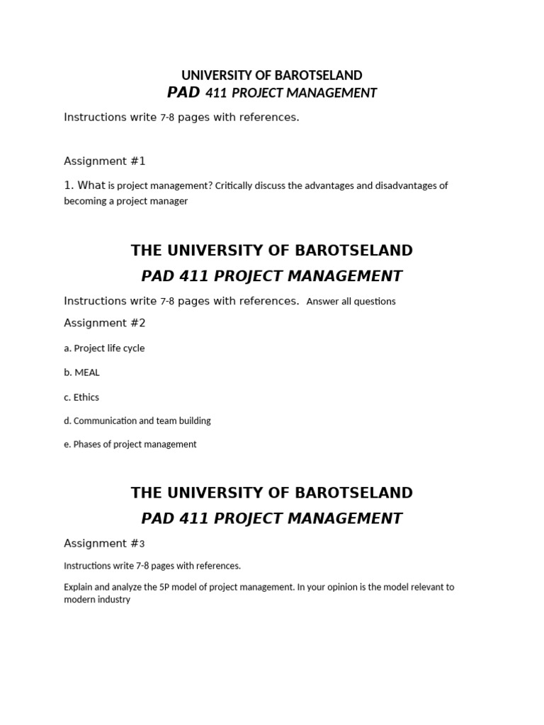 PAD 411 Project Management Assignment | PDF
