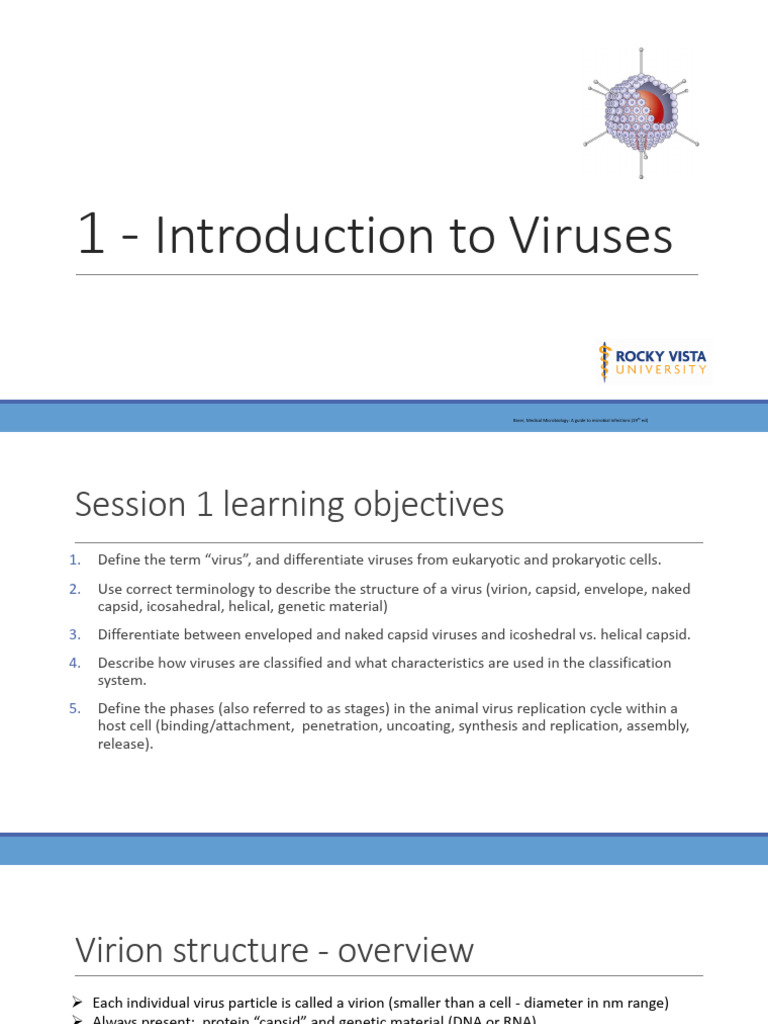 1 - Introduction to Viruses - Ppt | PDF | Virus | Dna