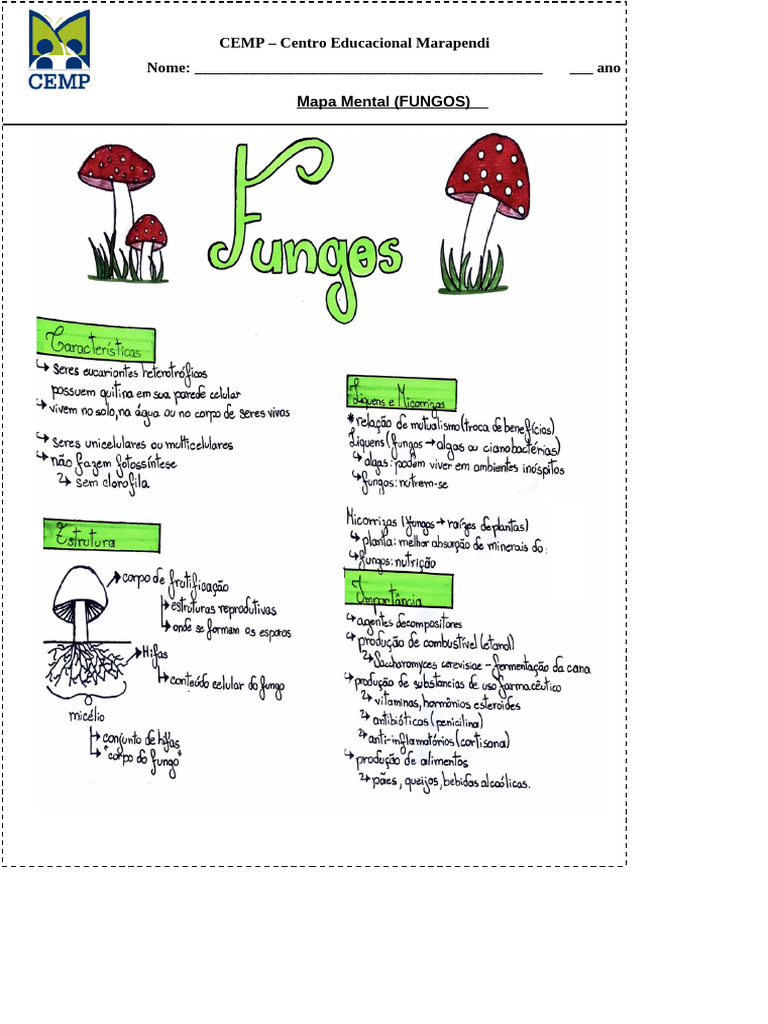 Mapa Mental FUNGOS | PDF