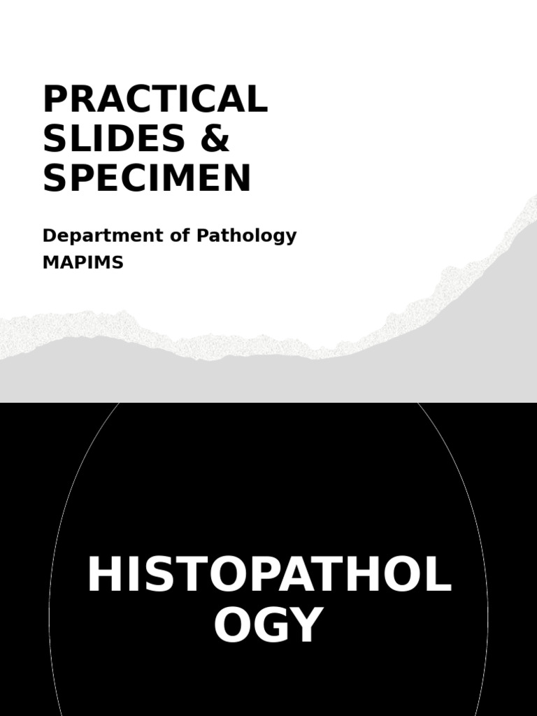 Practical Slides 2023 | PDF