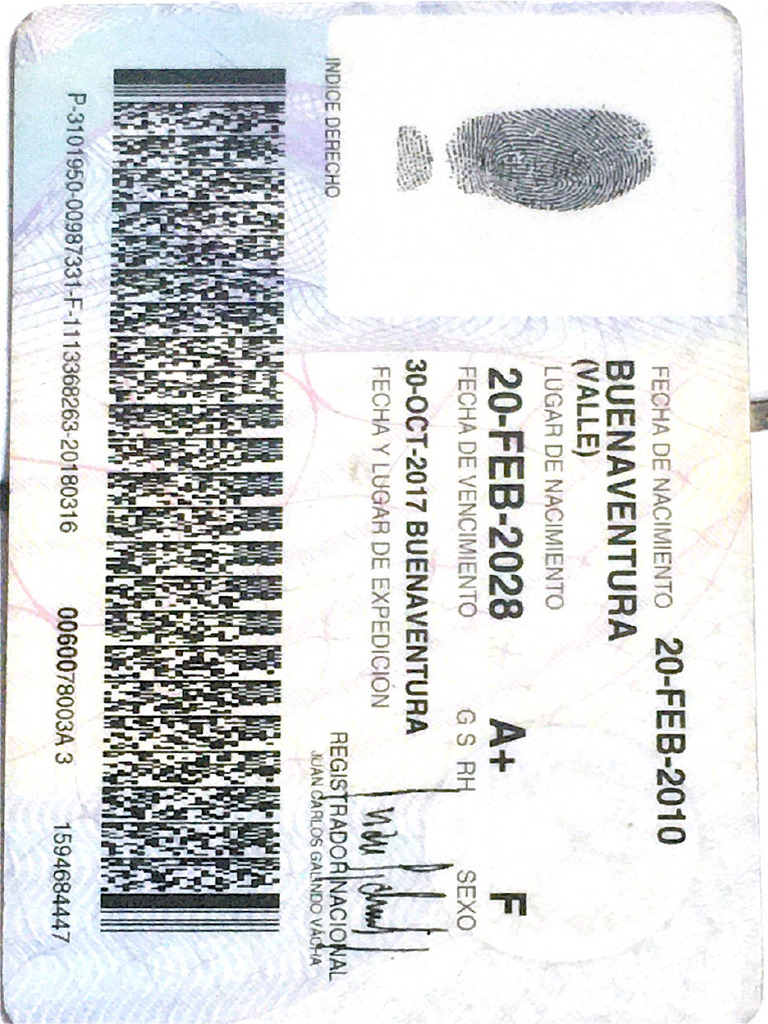 Documento Escaneado 3 | PDF