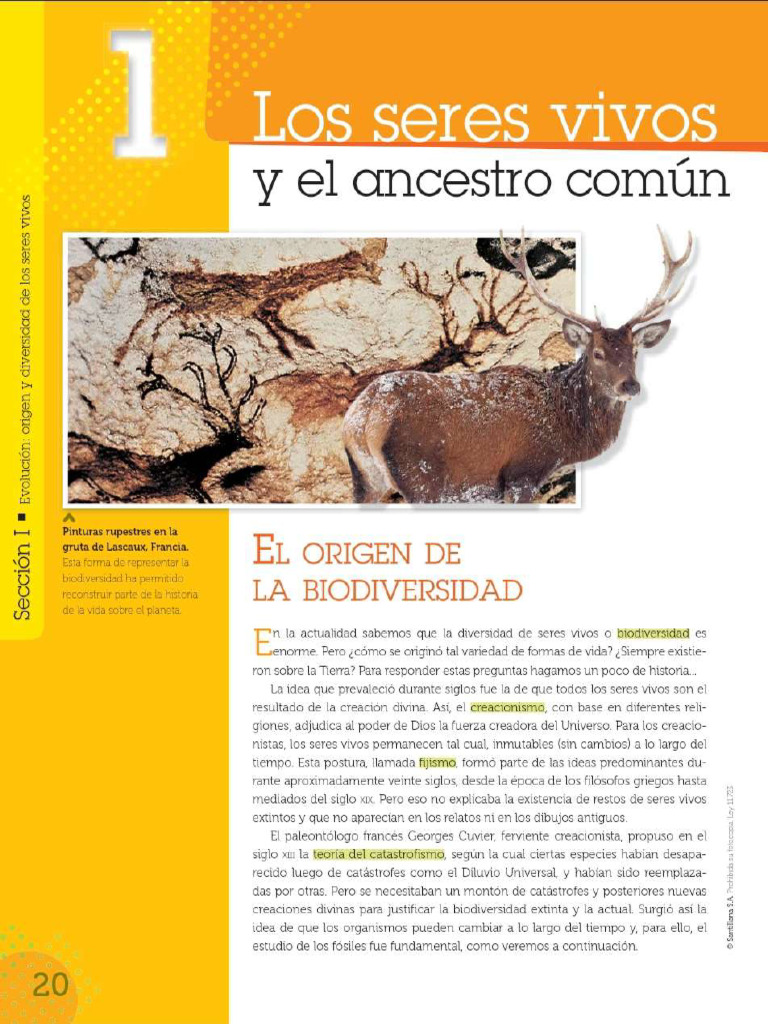 Cuadernillo Cap-Tulo 1 y 2 | PDF