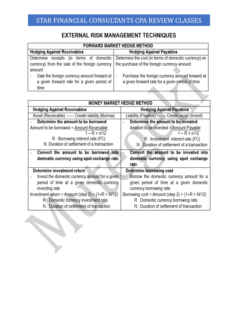 External Risk Management Techniques-1 | PDF