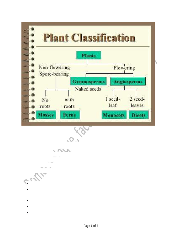 Classification of Plant | PDF