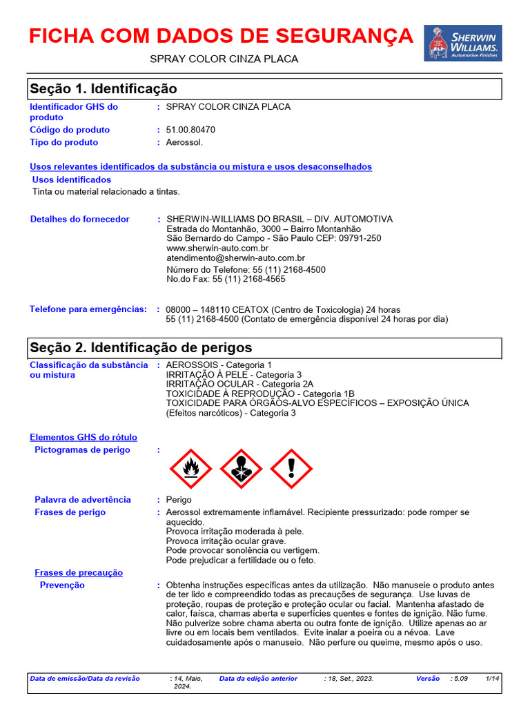Ficha de Segurança Spray Color Cinza | PDF