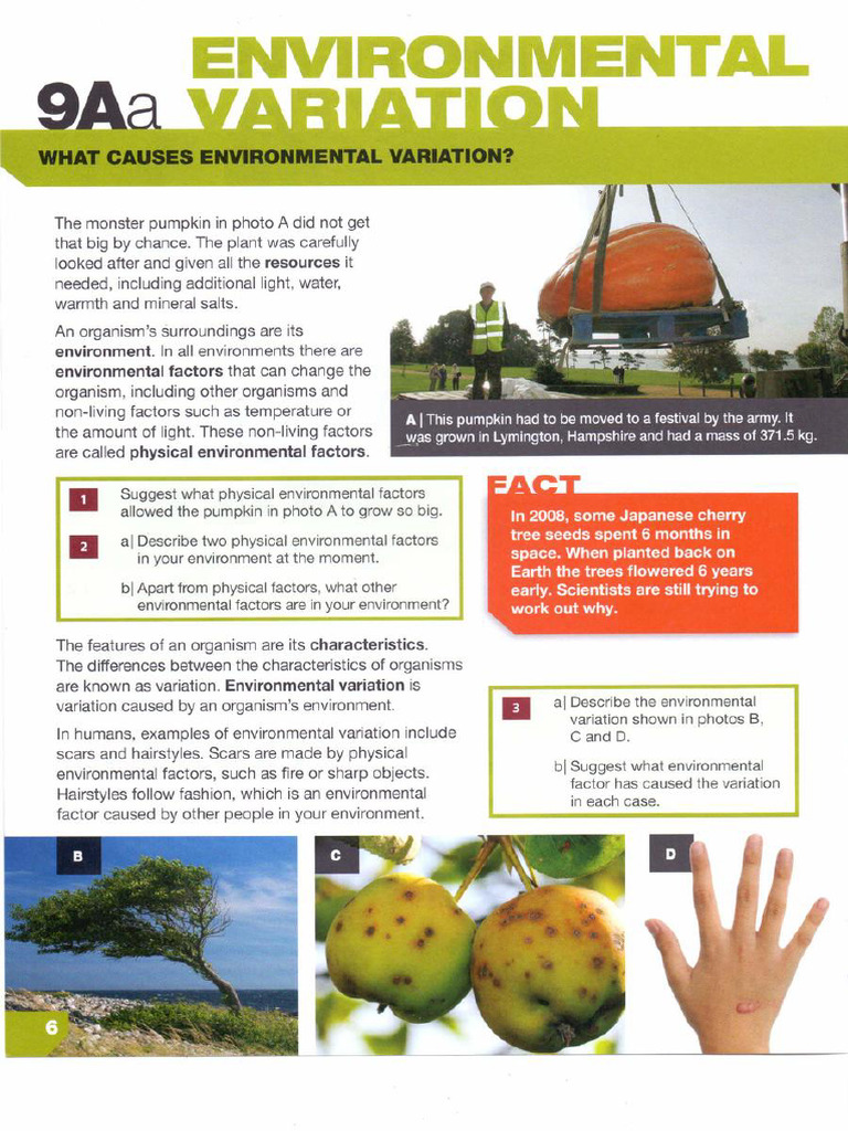 Toaz - Info Exploring Science Y9 Working Scientifically PR | PDF