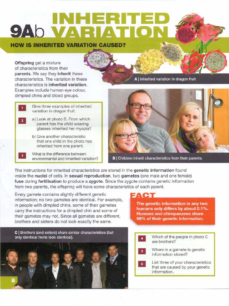 Toaz - Info-Exploring-Science-Y9-Working-Scientifically-Pr - 2 | PDF