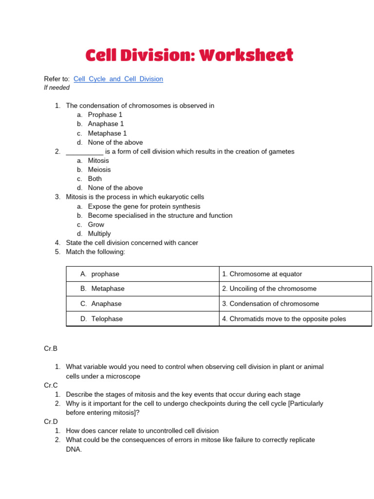 Cell Division - Worksheet - Biology | PDF | Mitosis | Meiosis