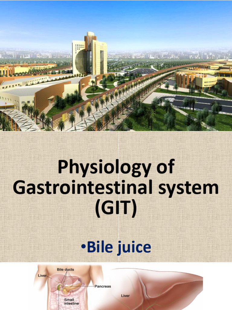 Physiology of Gastrointestinal System | PDF | Bile | Liver