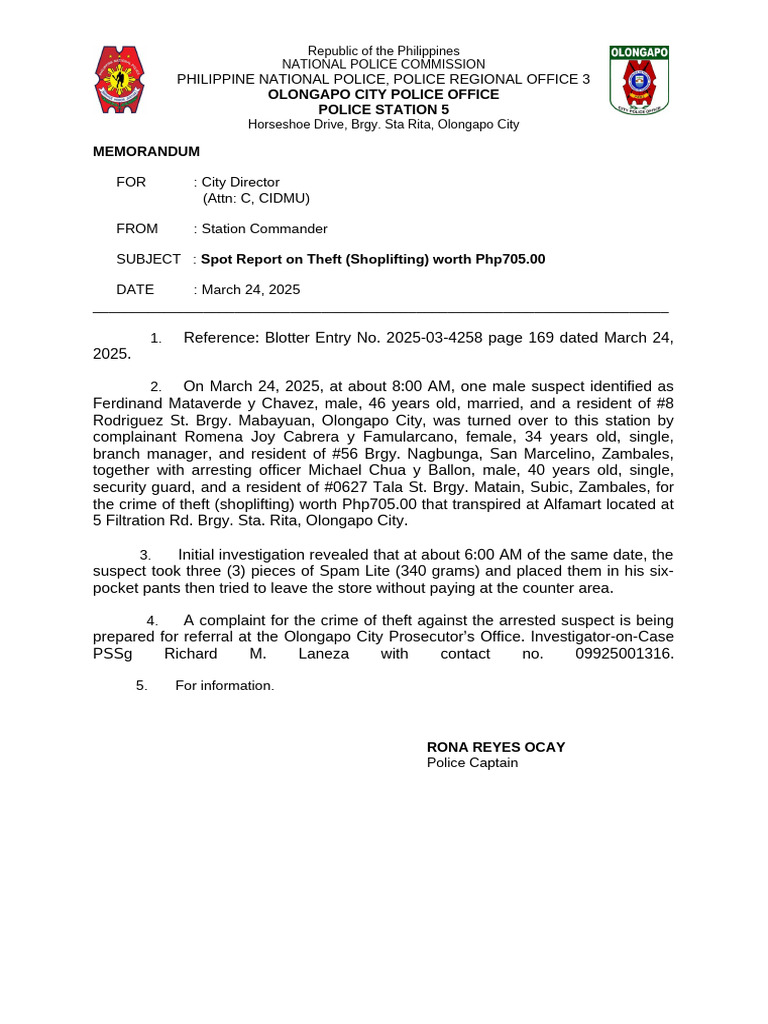 Memorandum Spot Report | PDF