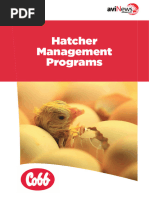 Ross 308 vs Cobb 500: Profit Insights | PDF | Broiler | Meat