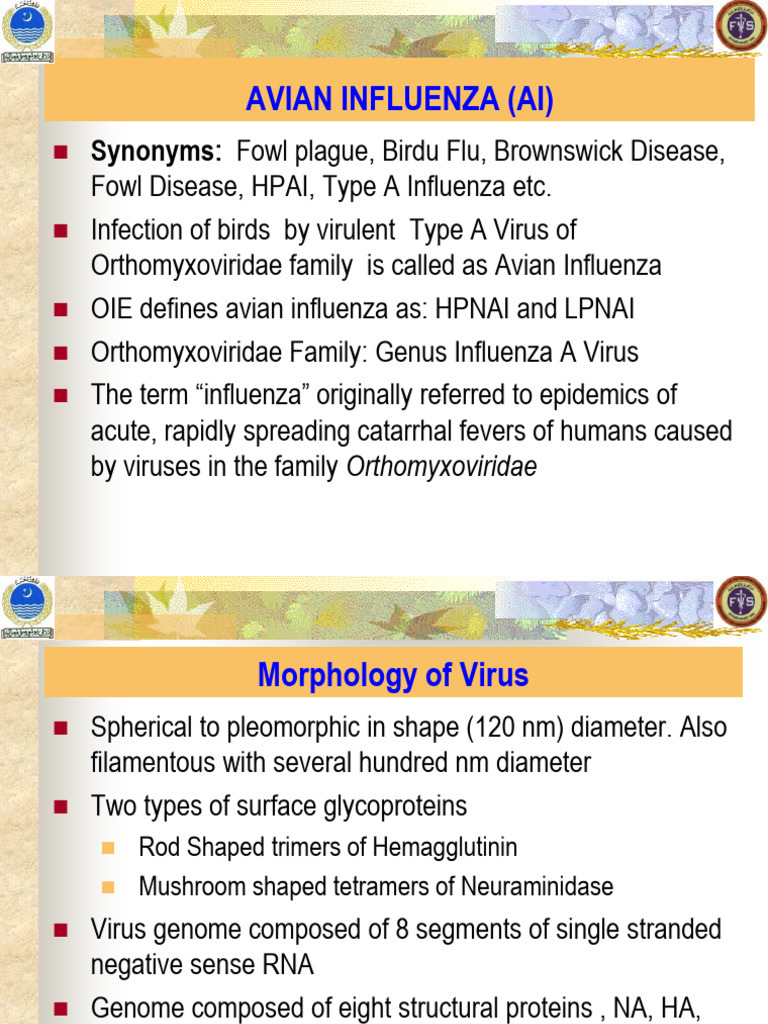 Overview of Avian Influenza Virus | PDF | Avian Influenza | Influenza