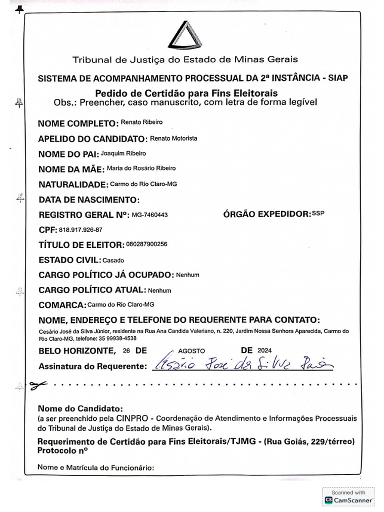 Formulário TJMG | PDF