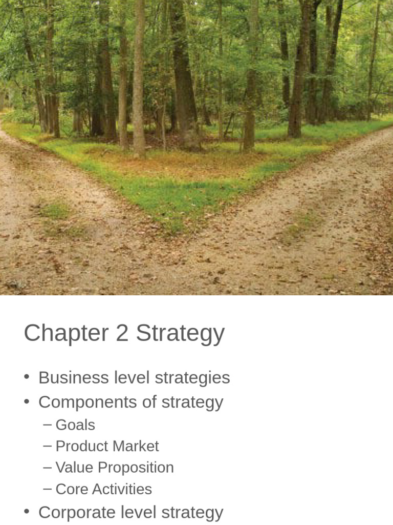 Business Strategy Fundamentals | PDF | Competitive Advantage | Goal