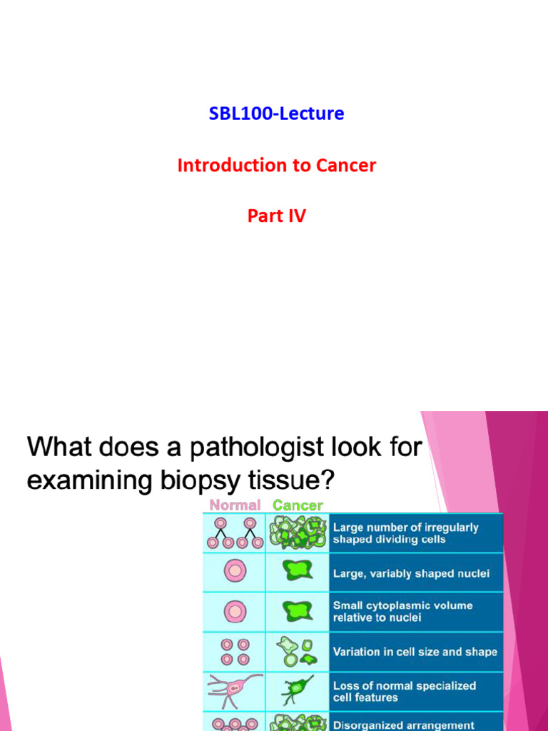 Cancer Biology Lecture IV | PDF | Biopsy | Medical Imaging