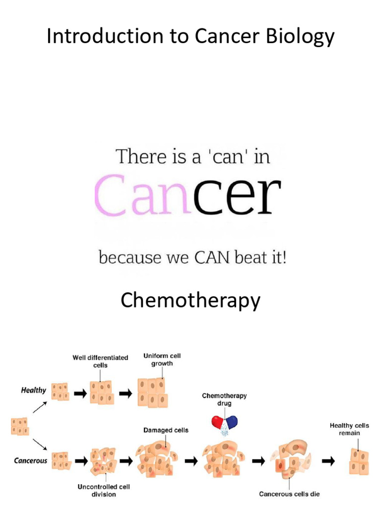 Overview of Cancer Treatment Methods | PDF | Cancer | Chemotherapy