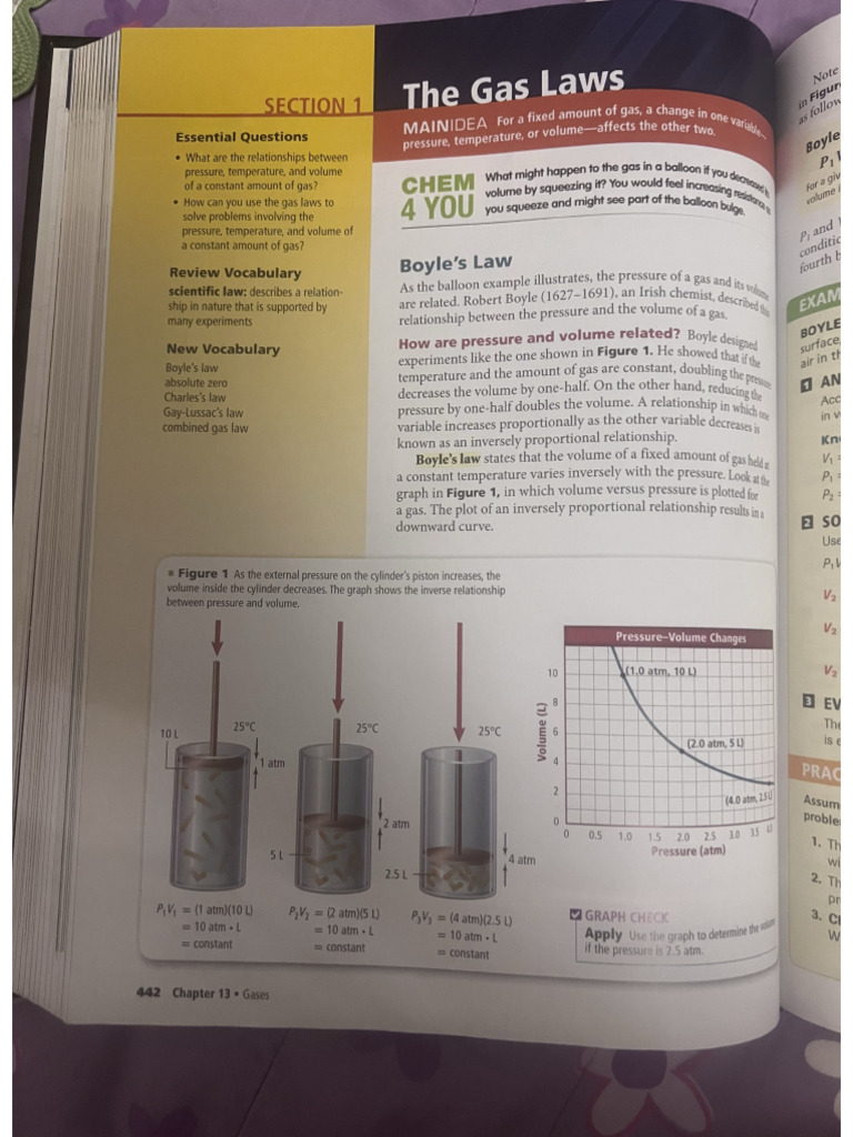 Chem Book Chapter 13 | PDF