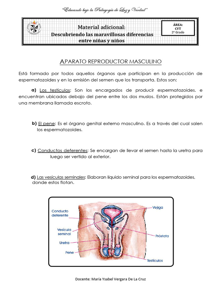 Material Adicional - Ficha Informativa | PDF