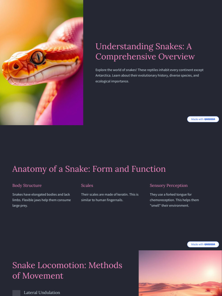 Understanding Snakes A Comprehensive Overview | PDF | Snake | Zoology